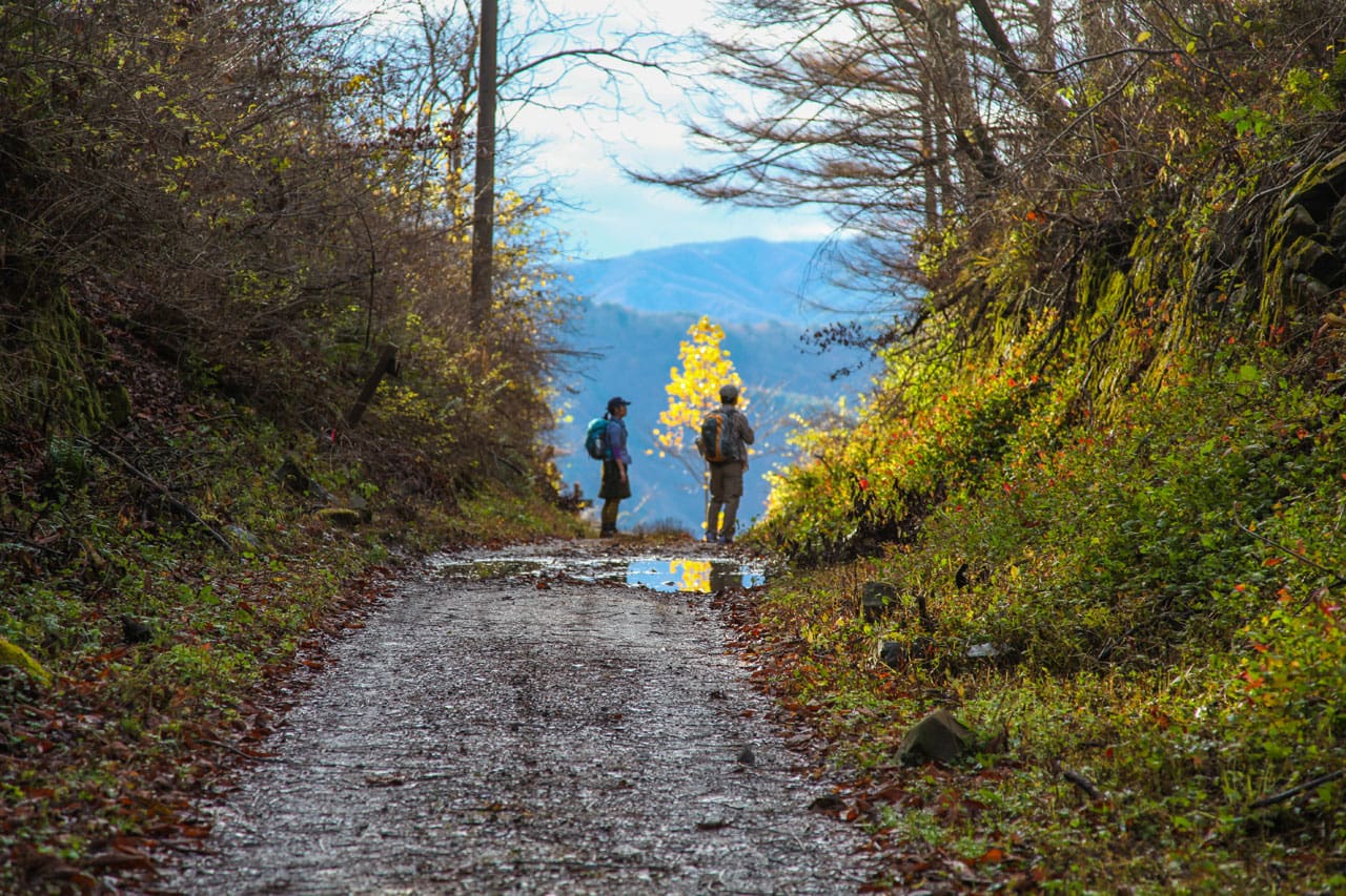 Take a walk in Japan in 2020 - Travel CourierTravel Courier