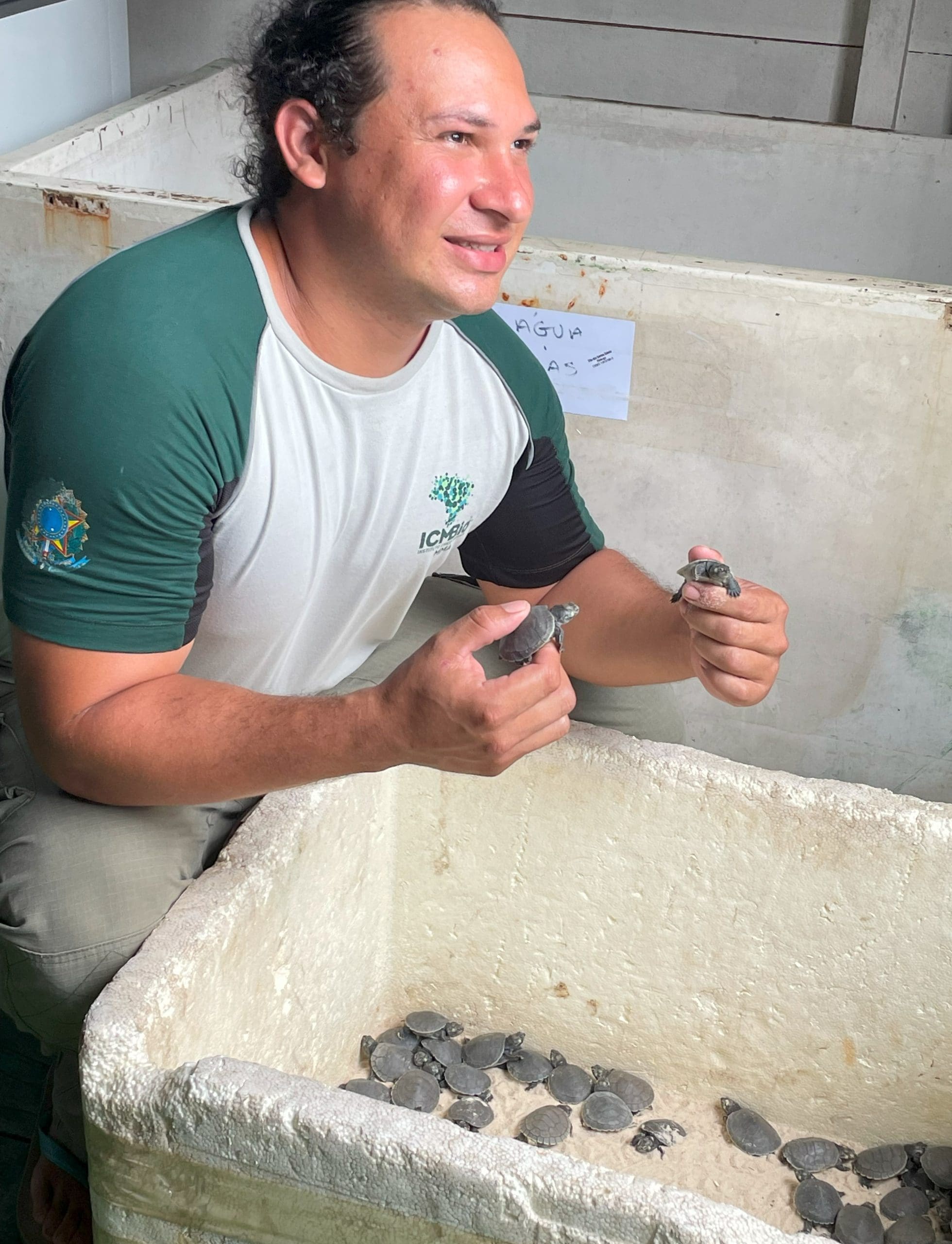 Brazilian lends a helping hand to Amazon turtles - Travel CourierTravel ...