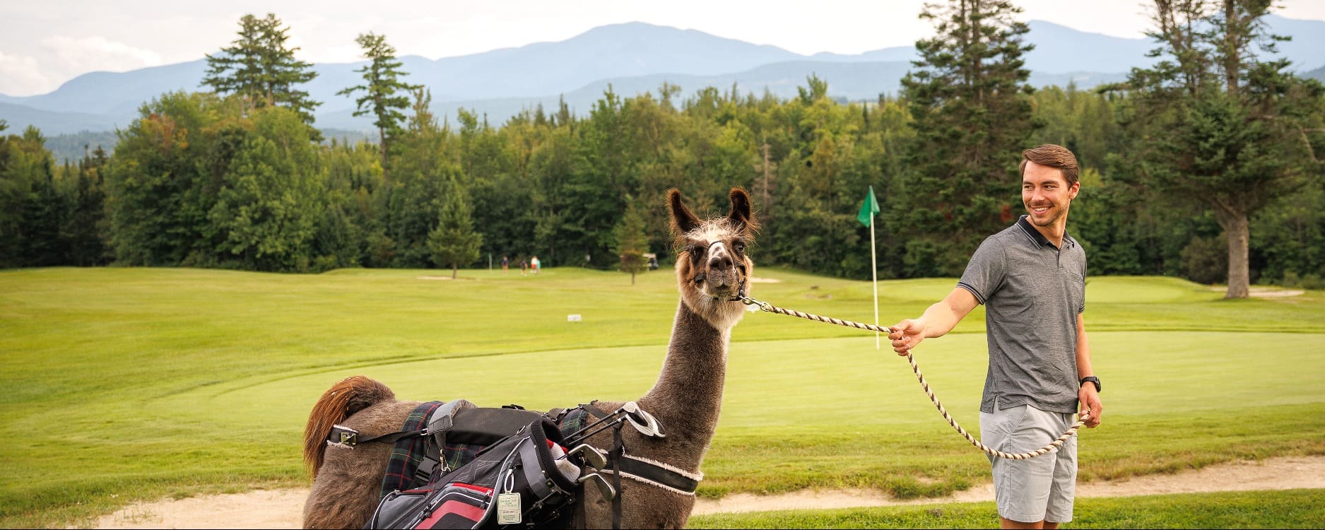 Mountain View Grand Resort & Spa offers clients the chance to golf with ...